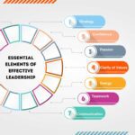Advanced Leadership: A Guide to Leading Organisations, Agendas and ...