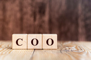 Common Career Path for a COO: Qualifications, Skills, and ...