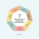 Financial Management – Functions, Goals, Meaning & Objectives - Finance ...