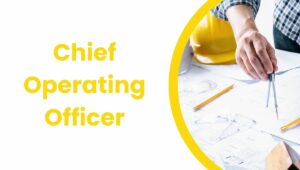 6 Chief Operating Officer Roles and Responsibilities - Finance, Tech ...